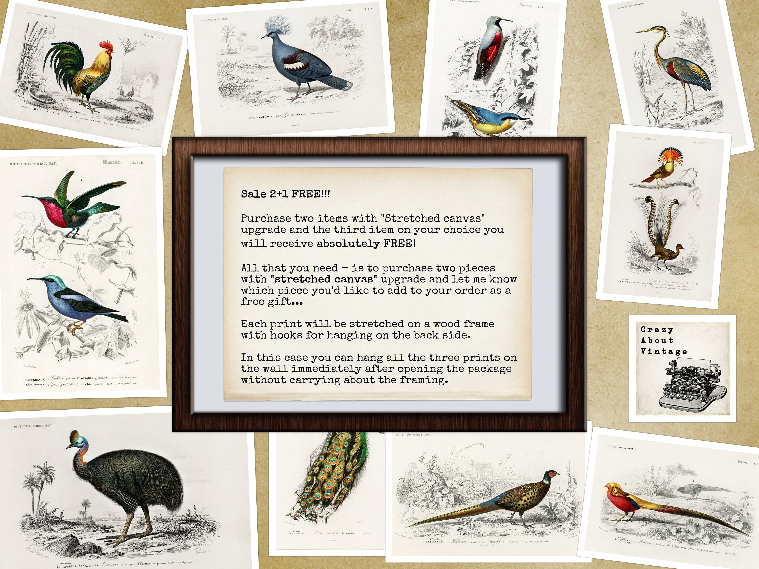 Pink Flamingo Vintage Poster Birds of America Illustration From 19th ...