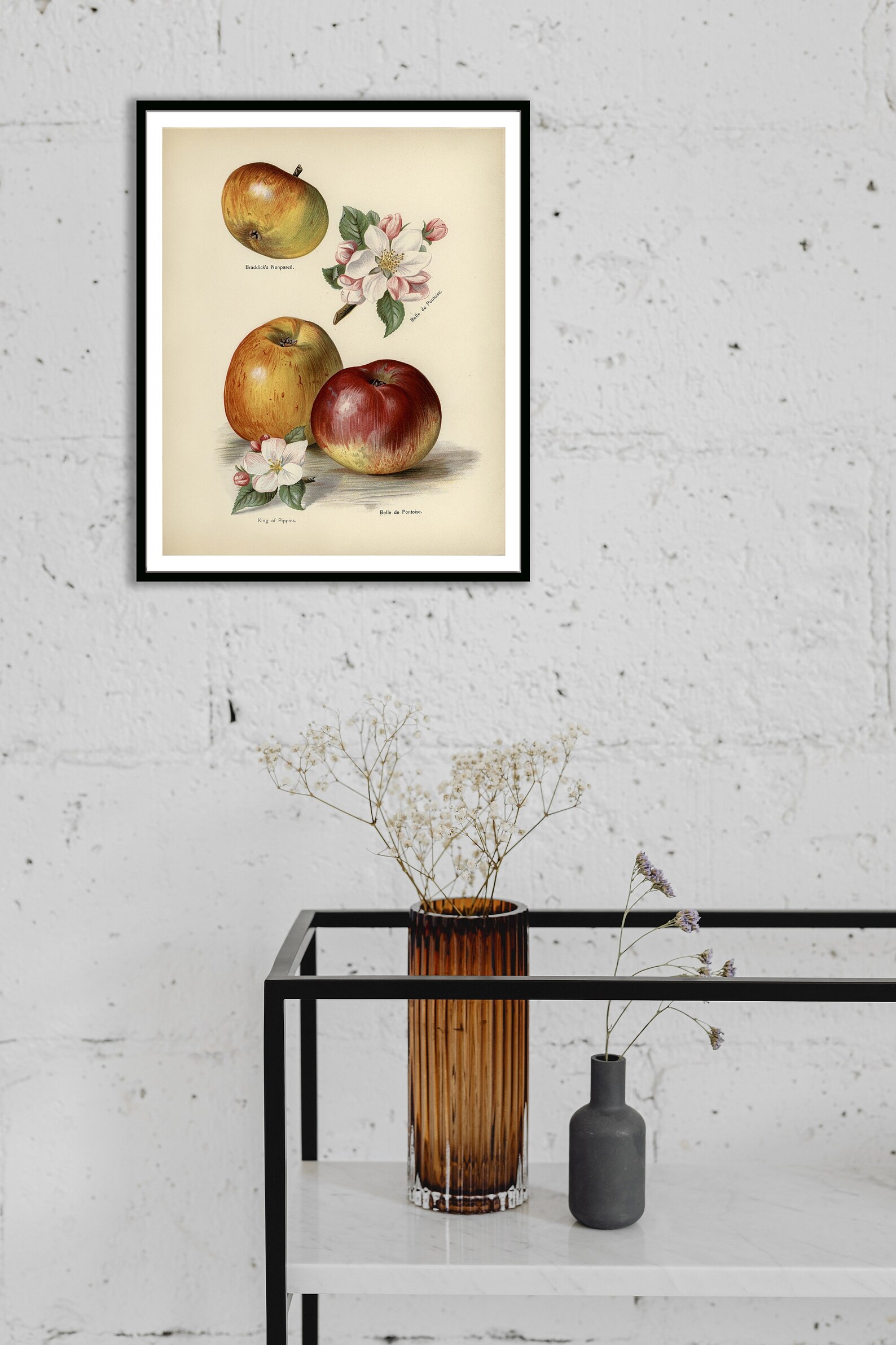 Apples Varieties Set Vintage Patented Botanical Poster Print - Etsy