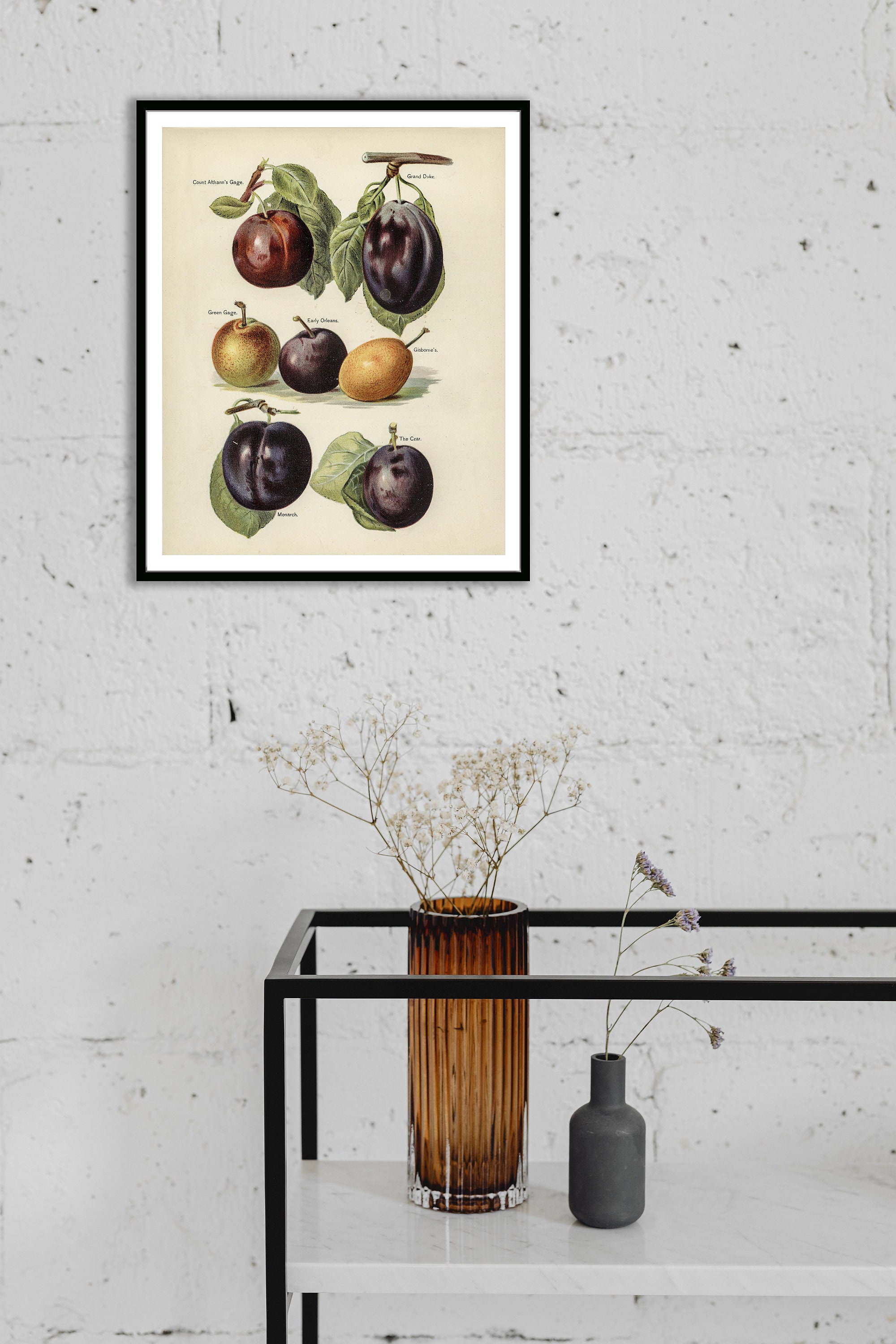 Vintage Plum Varieties Botanical Print, Kitchen Wall Art - Etsy