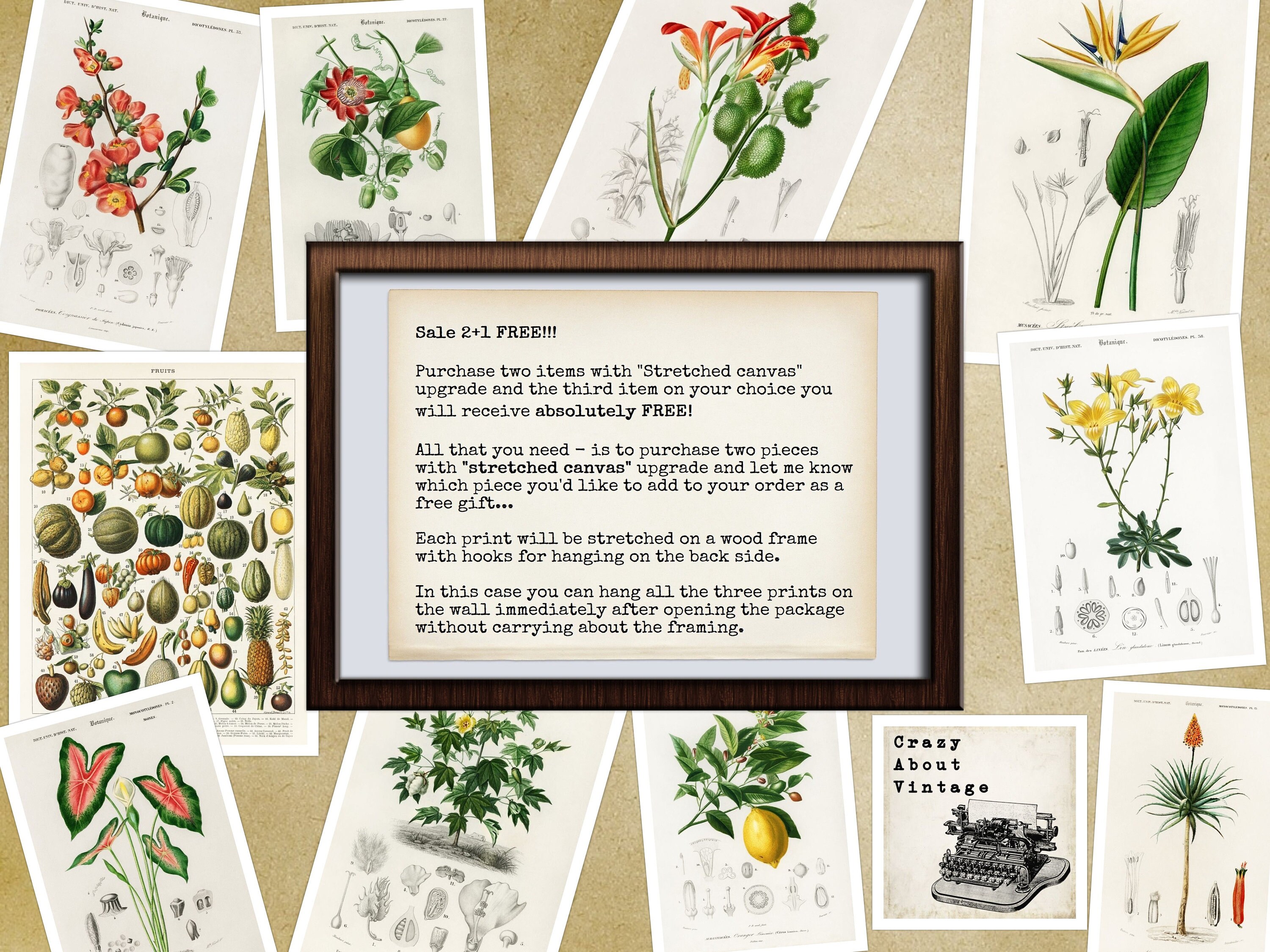 Vintage Poster Framed Retro Plants Botanical School and Family - Etsy