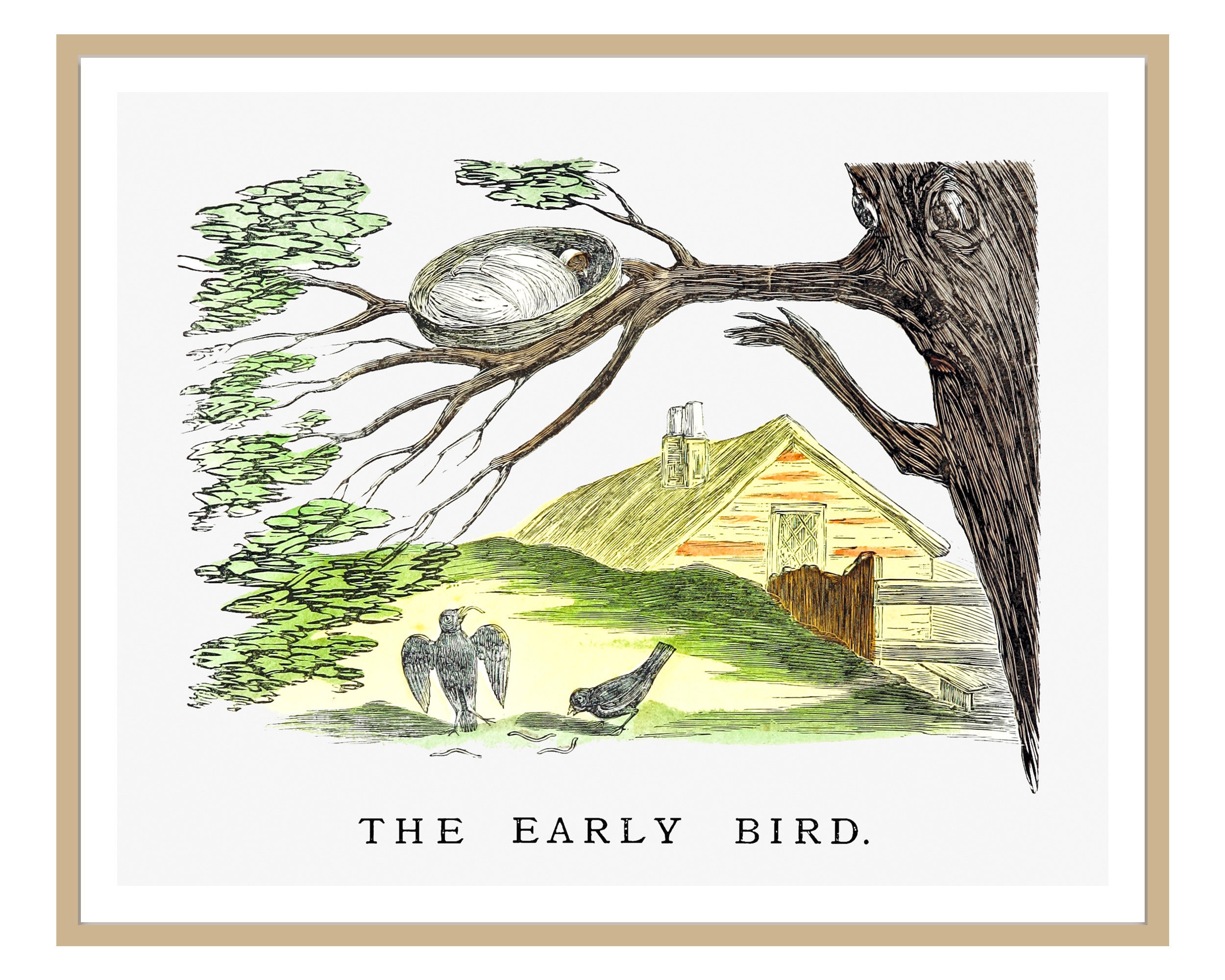 1800s Early Bird British Humor Vintage Caricature Drawing - Etsy