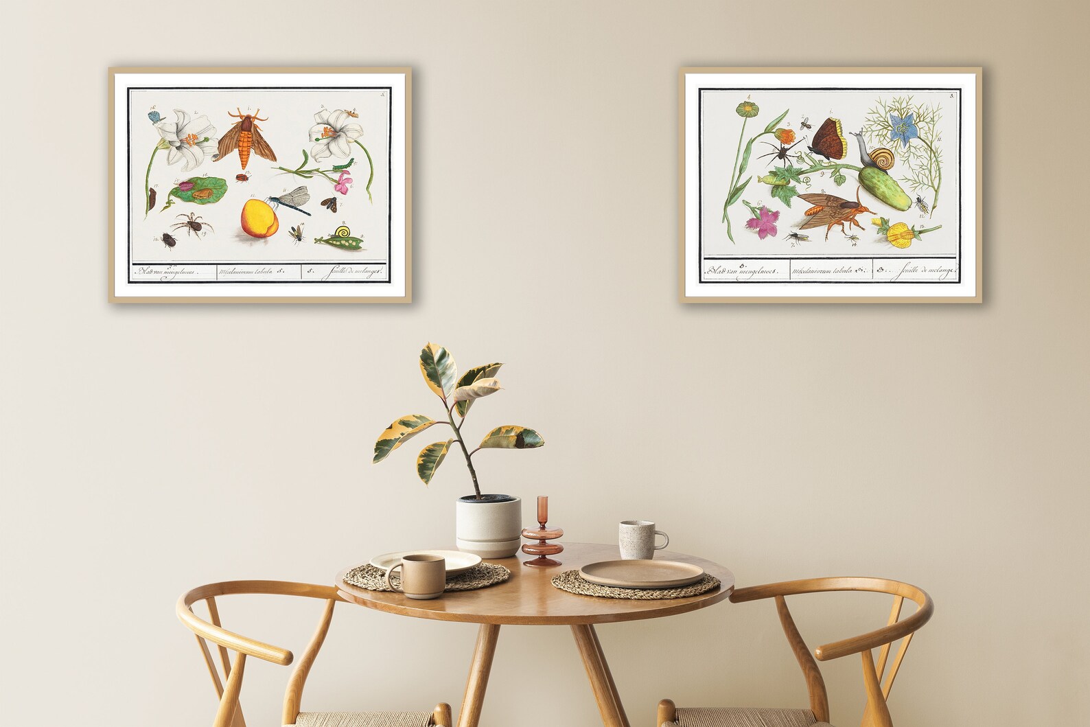 Vintage Illustration Set Poster Still Life Print of Fruits and - Etsy