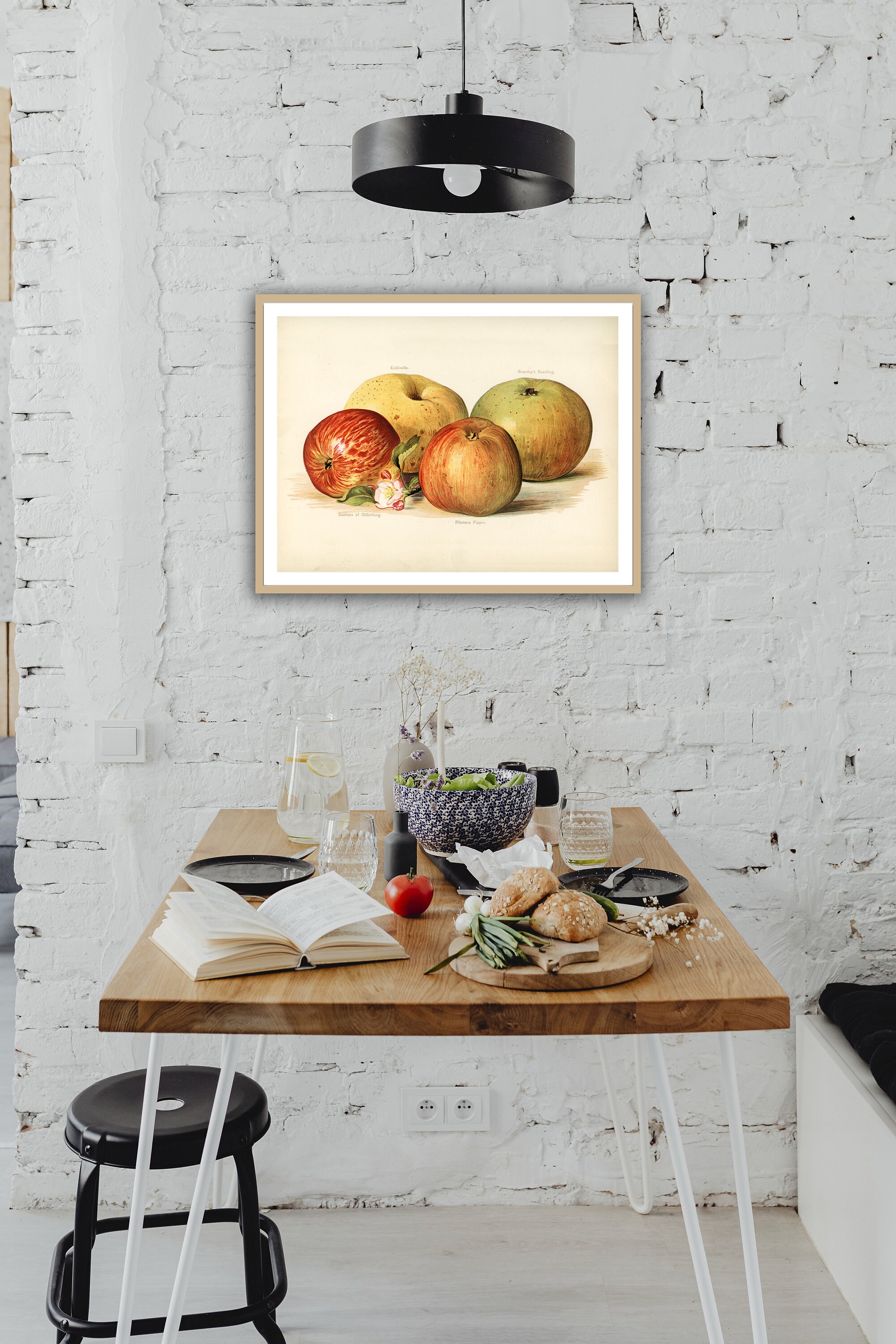 Apples Variety Set Vintage Botanical Poster Illustration From the Fruit ...