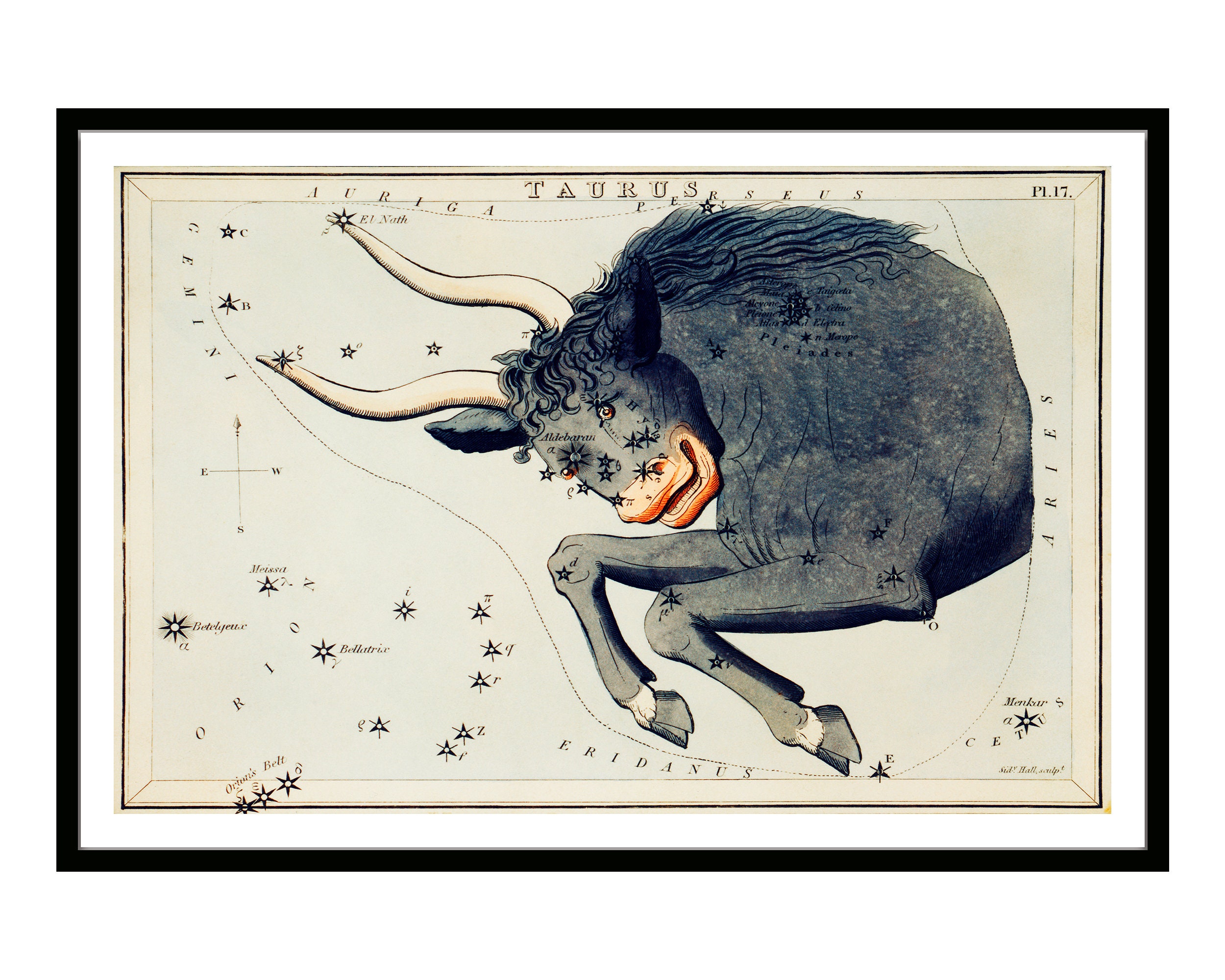 Stier Sternzeichen Vintage Poster Astronomical Chart - Etsy.de