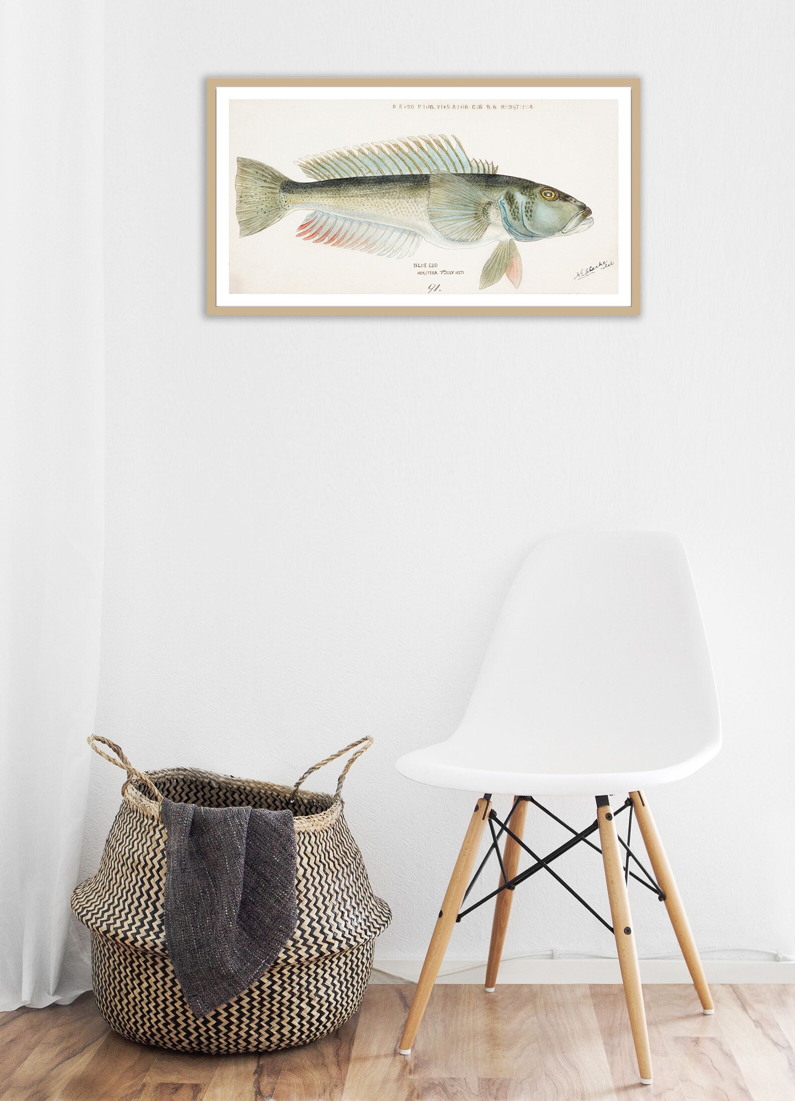 Antique Fish Parapercis Vintage Illustration Patent Print Poster Gift ...