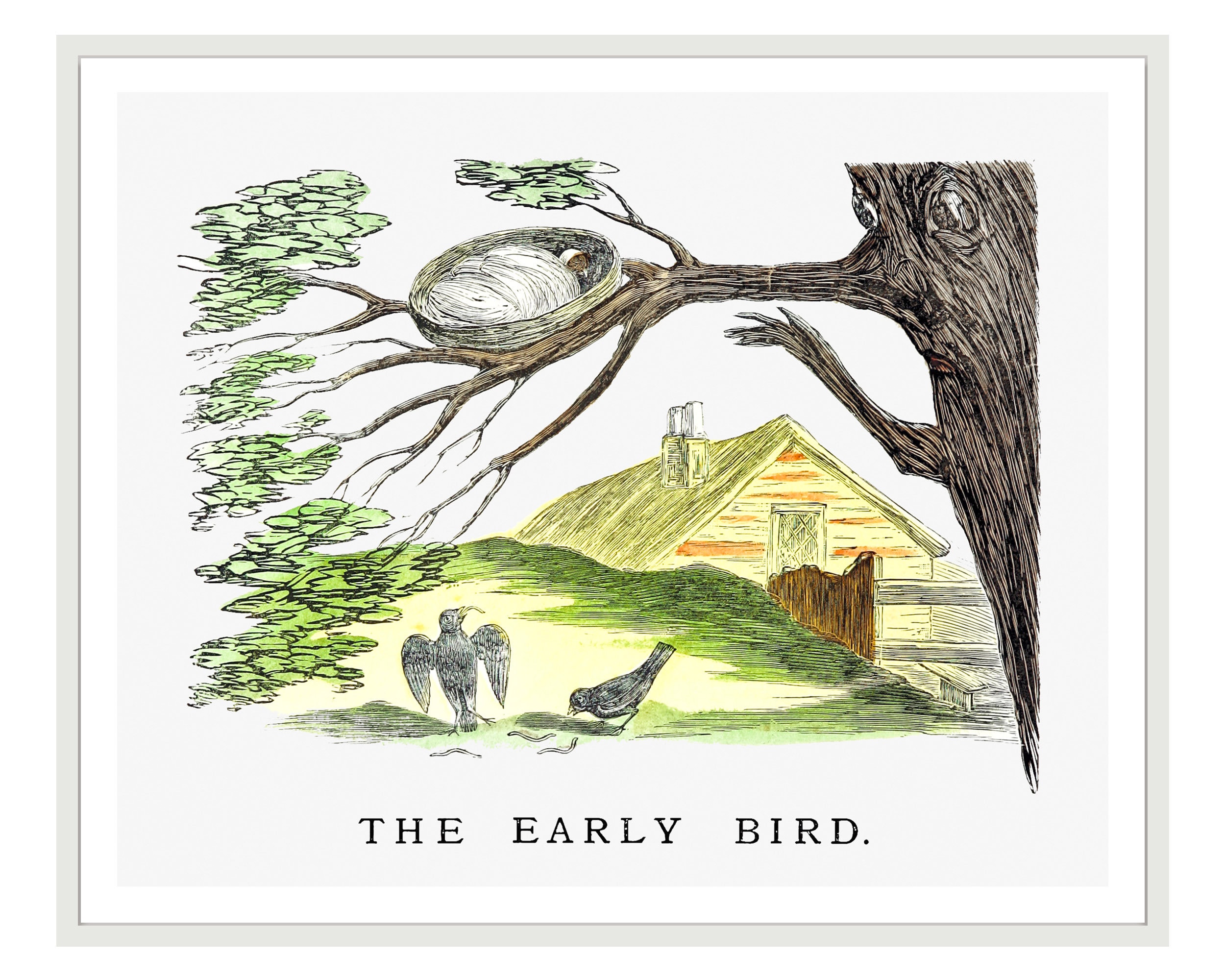 Early Bird Caricature Art Print - 1800s British Humor Wall Decor - Etsy