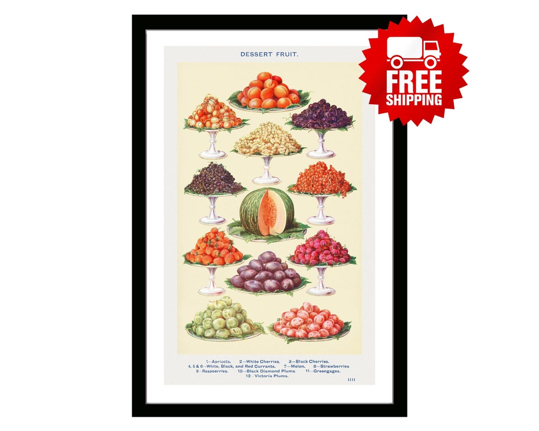 Victorian & French Cuisine Dessert Fruits Set Vintage Cooking Book ...