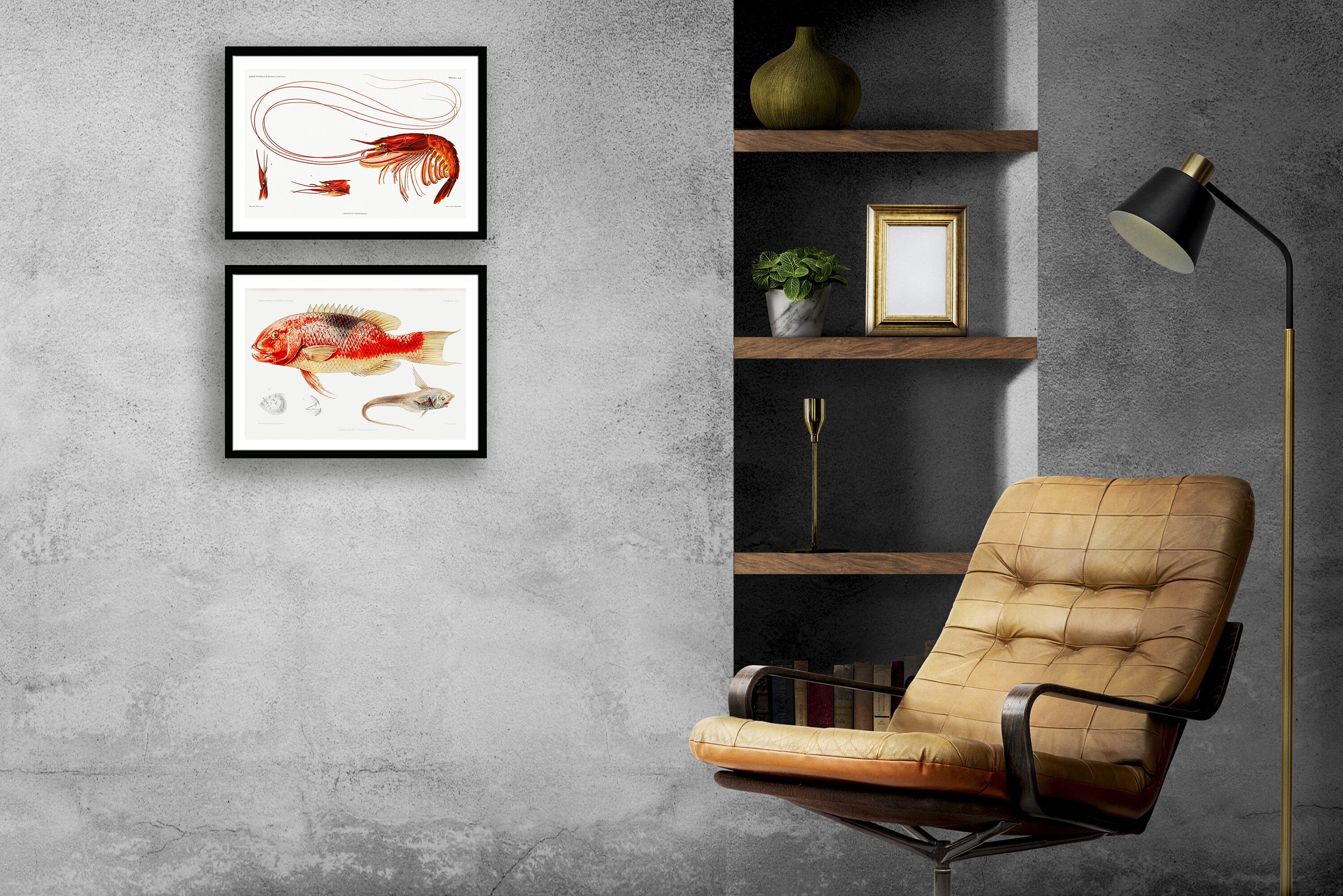Hogfish and a Ray Finned Fish Illustration Vintage Patent Print Poster ...