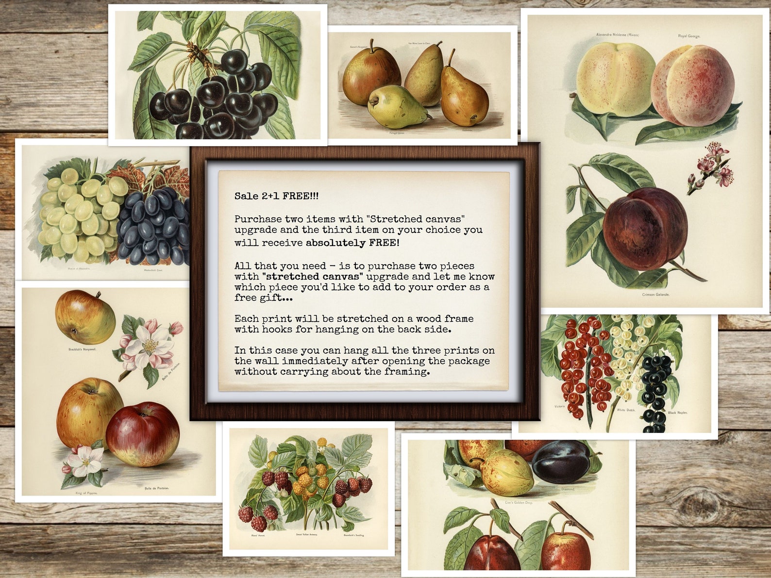 Apples Varieties Set Vintage Patented Botanical Poster Print - Etsy