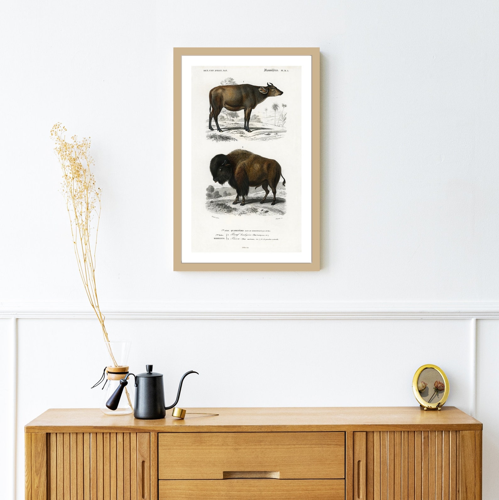 Cow and Bison Vintage Poster Illustration Original From Dictionnaire ...