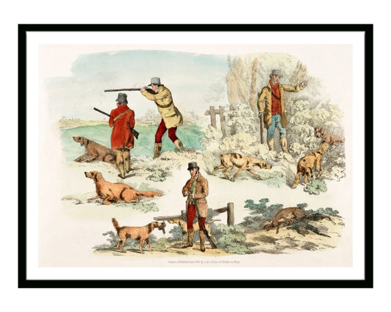 Vintage Poster Illustration of Pheasant Hunting From Sporting - Etsy