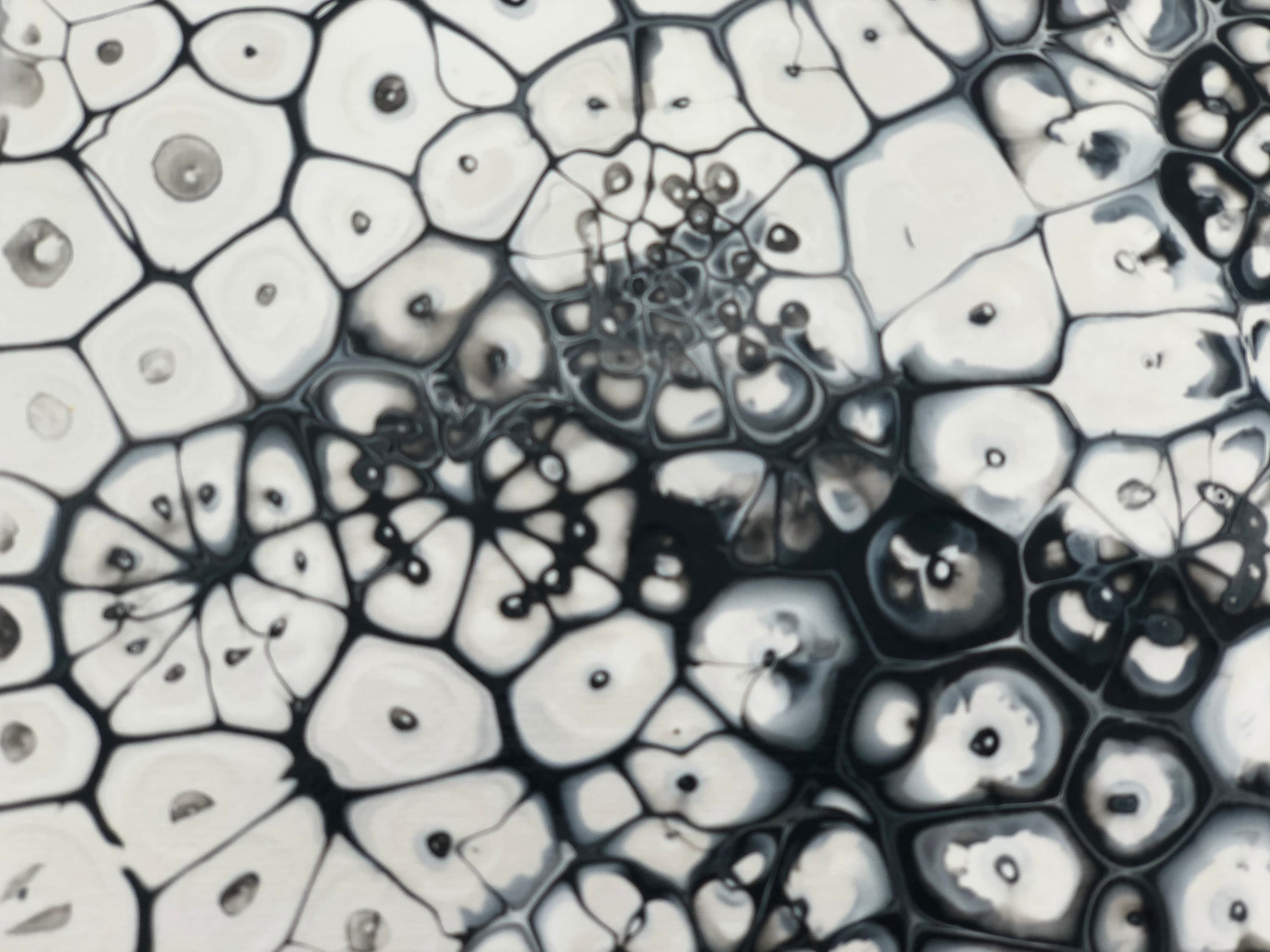 Abstract Black and White Painting, Cells - Etsy