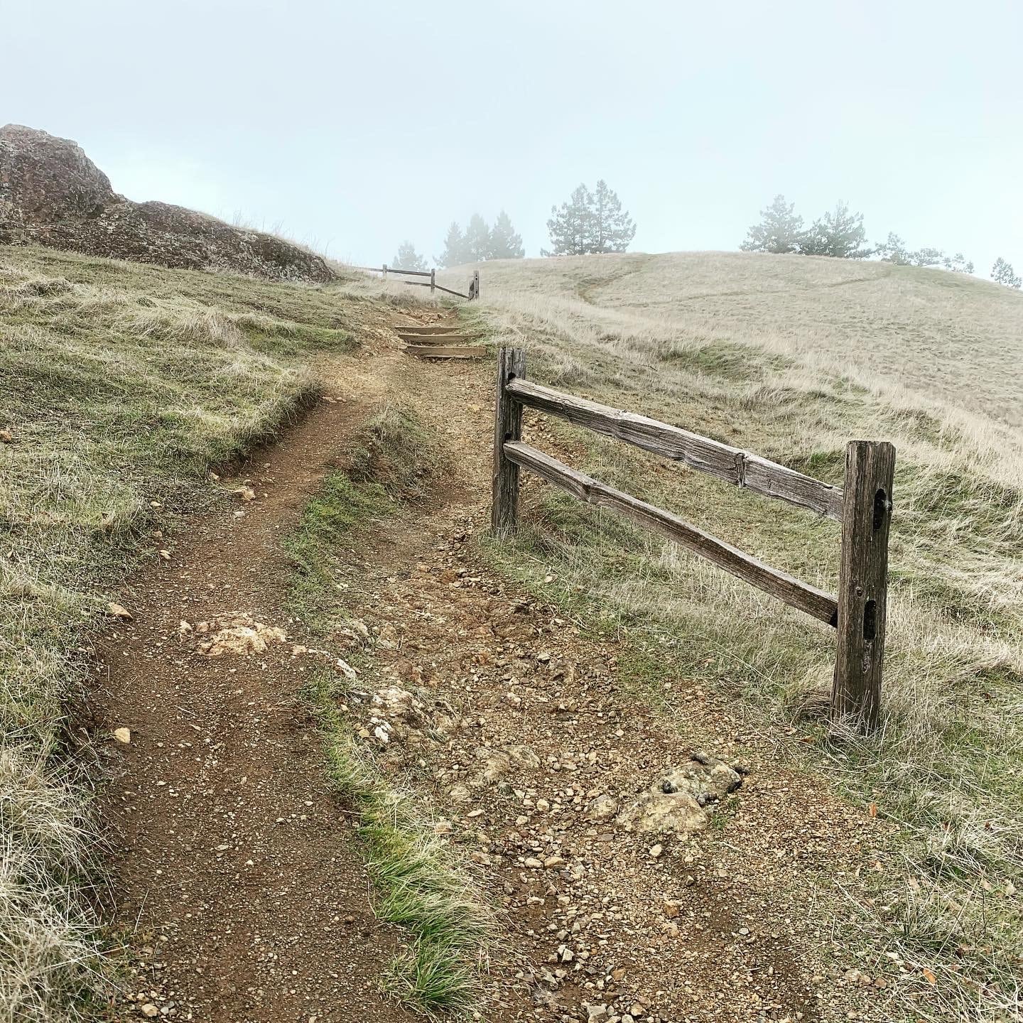 Pathway Photo, Wall Art, Digital Download - Etsy