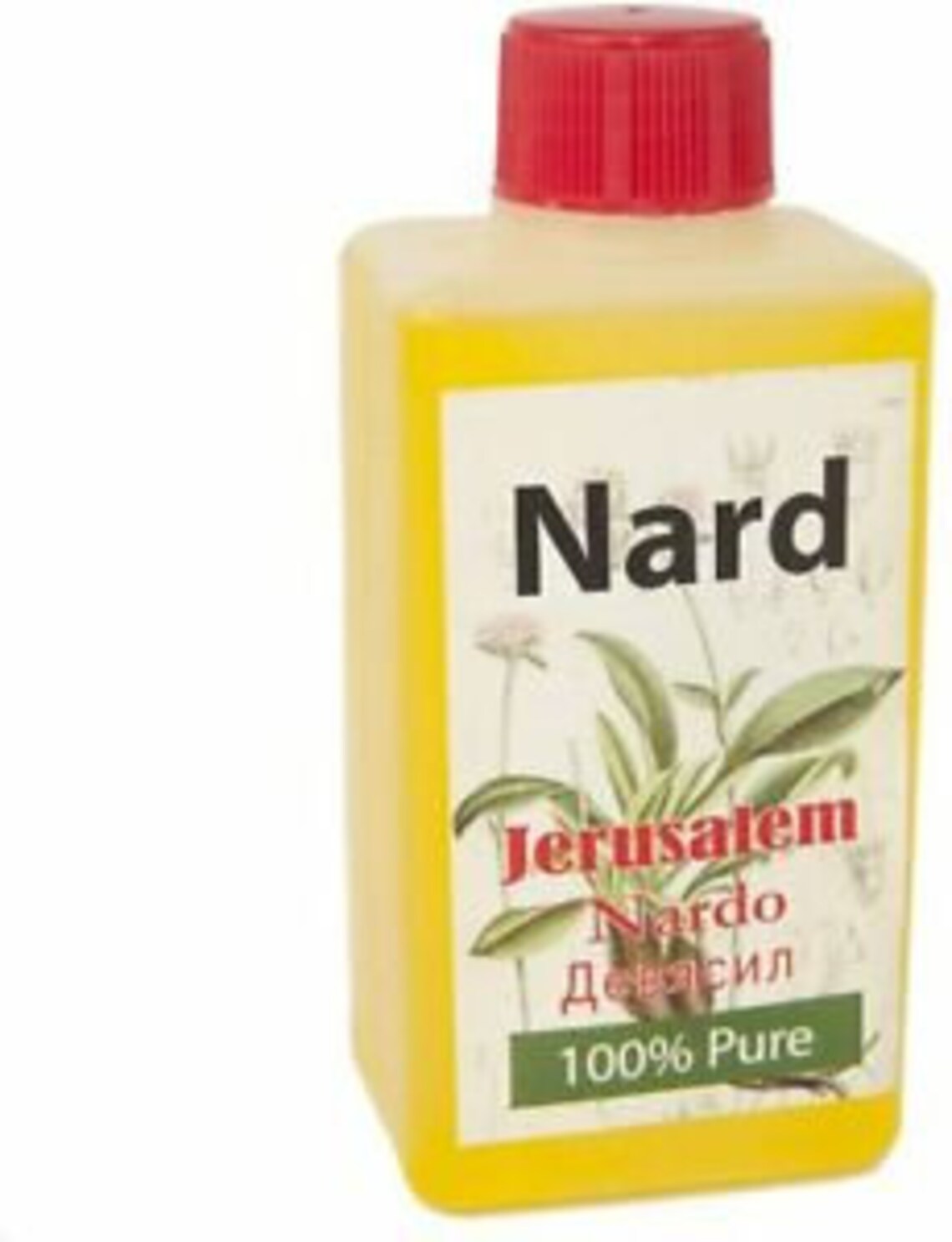 280ml 100% Pure Nard Authentic Jerusalem Holy Prayer Anointing Oil From ...