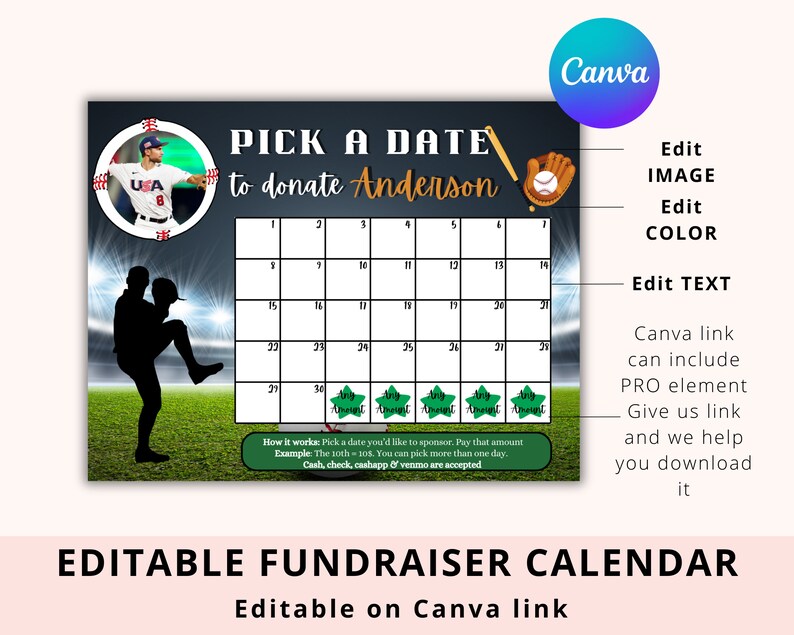 Editable Baseball Pick a Date to Donate, Canva Template, Fundraiser ...