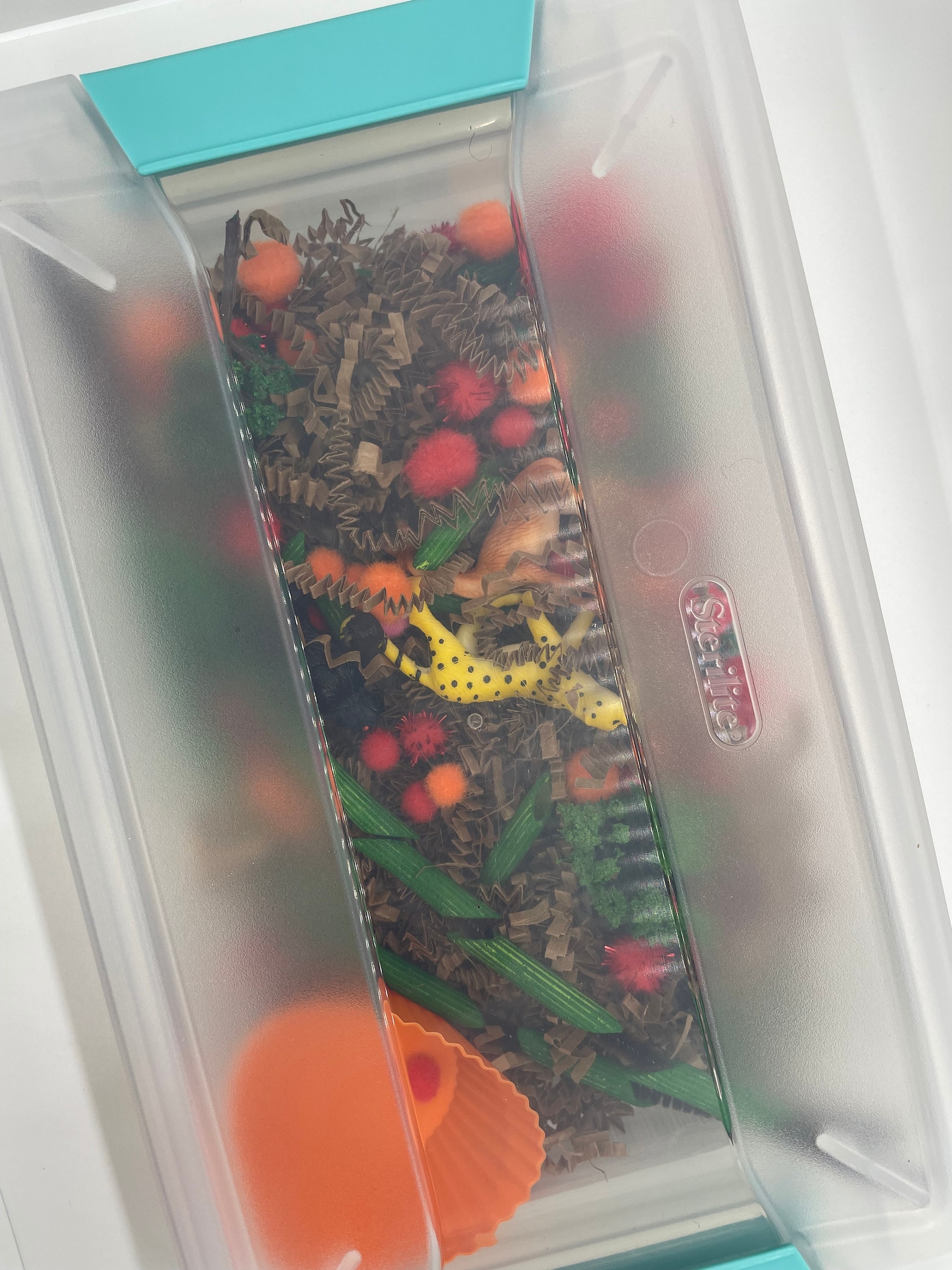 Animal Sensory Bin Safari Sensory Bin Jungle Sensory Bin Sensory Kit ...