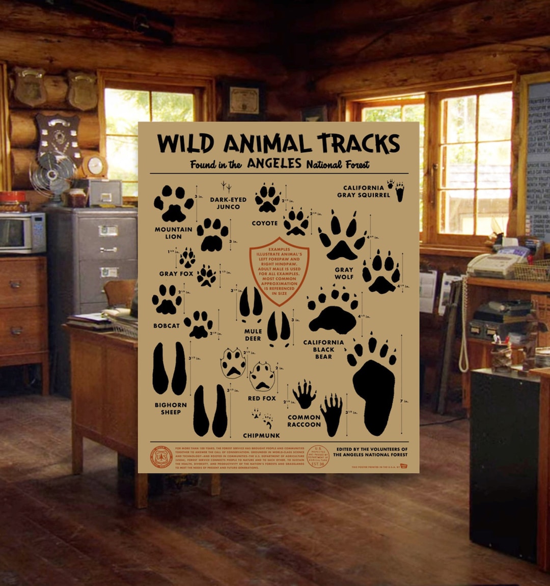 ANF Animal Tracks Poster - Etsy