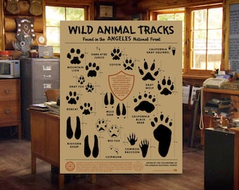 Animal Tracks Screen Print Poster - Etsy