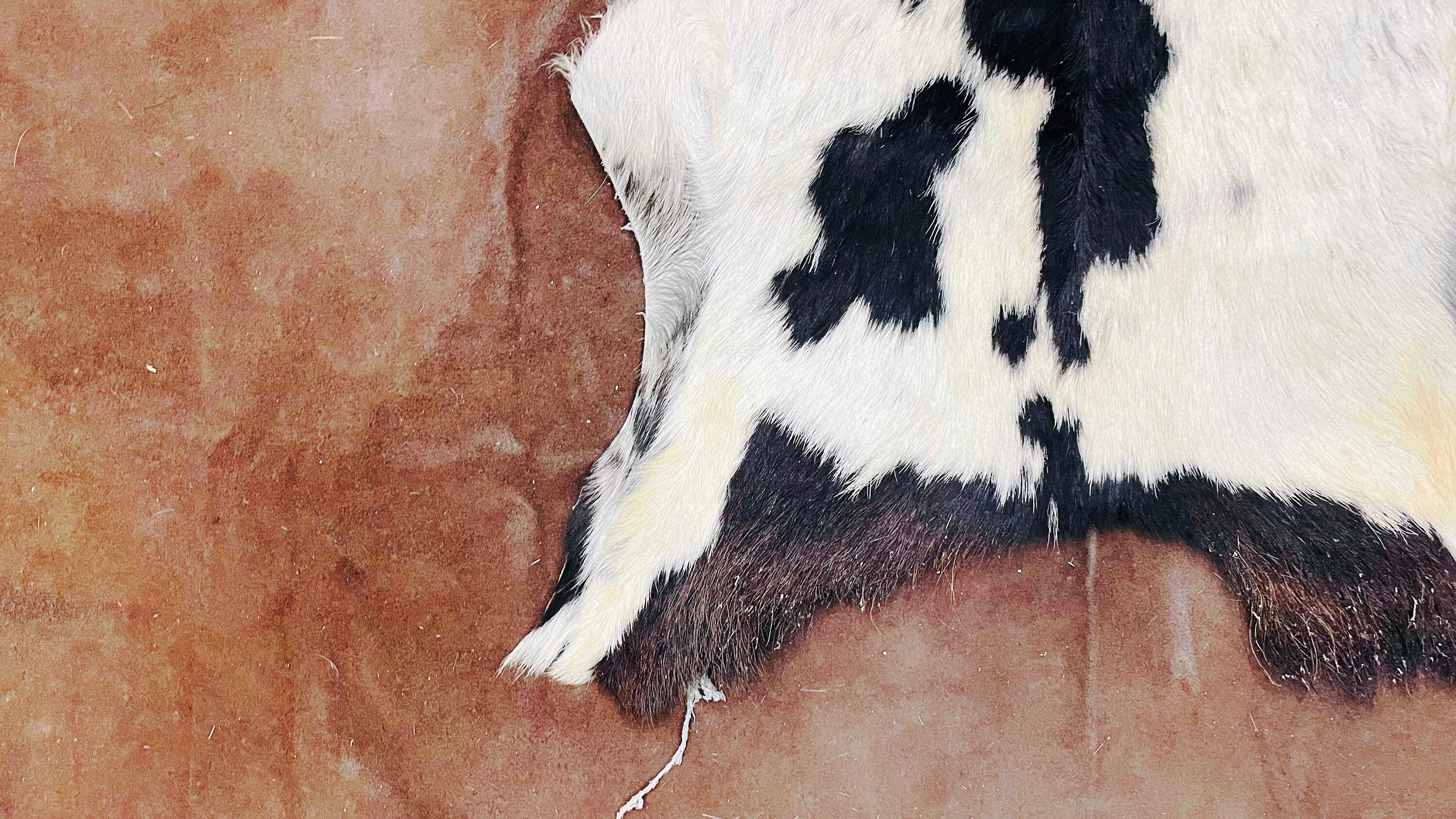 Nordic Goat Hide White and Black Animal Skin Scandinavian Fur Rug Shag ...