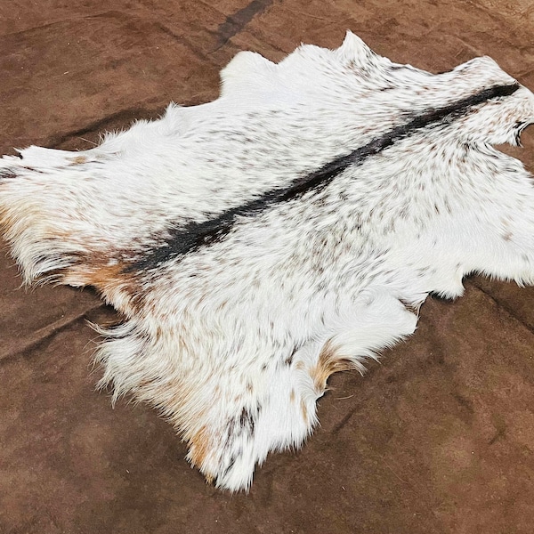 Springbok Hide - Etsy