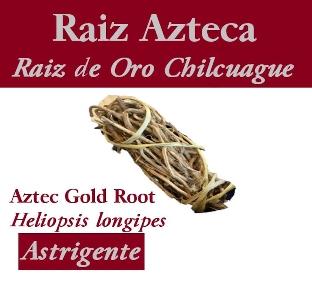 Raiz Azteca Chilcuague Raiz de Oro ASTRINGENTE Dolor Dientes - Etsy España