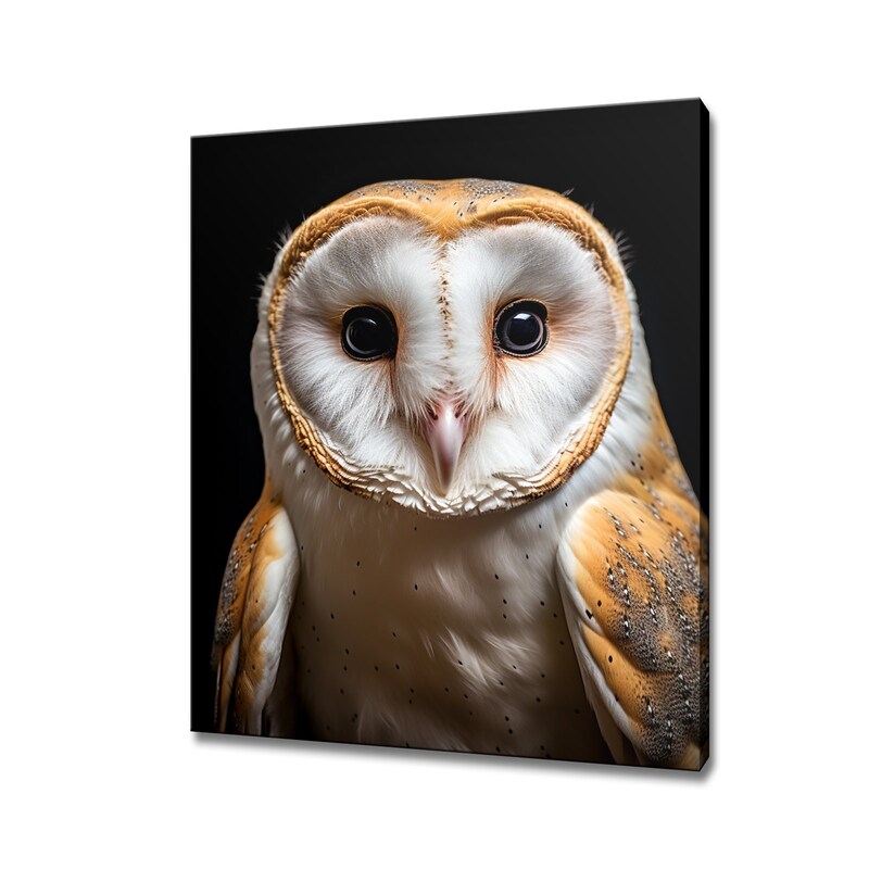 Owl Wall Art - Etsy