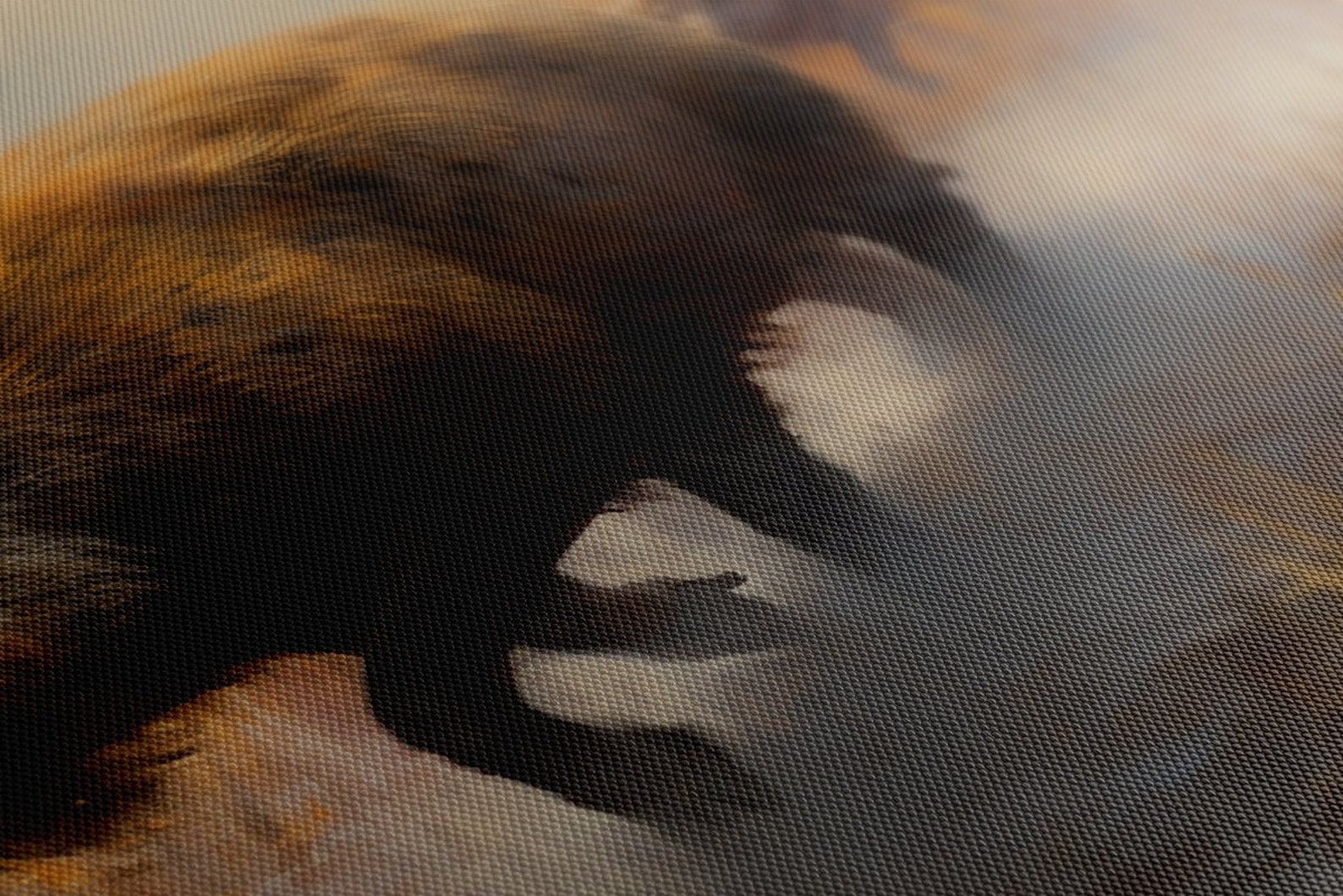 Adorable Wild Boar Family Canvas Print | Gift for Boar Lover | Animals ...