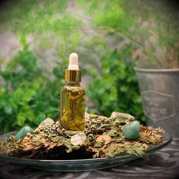 Rose of Jericho - Etsy