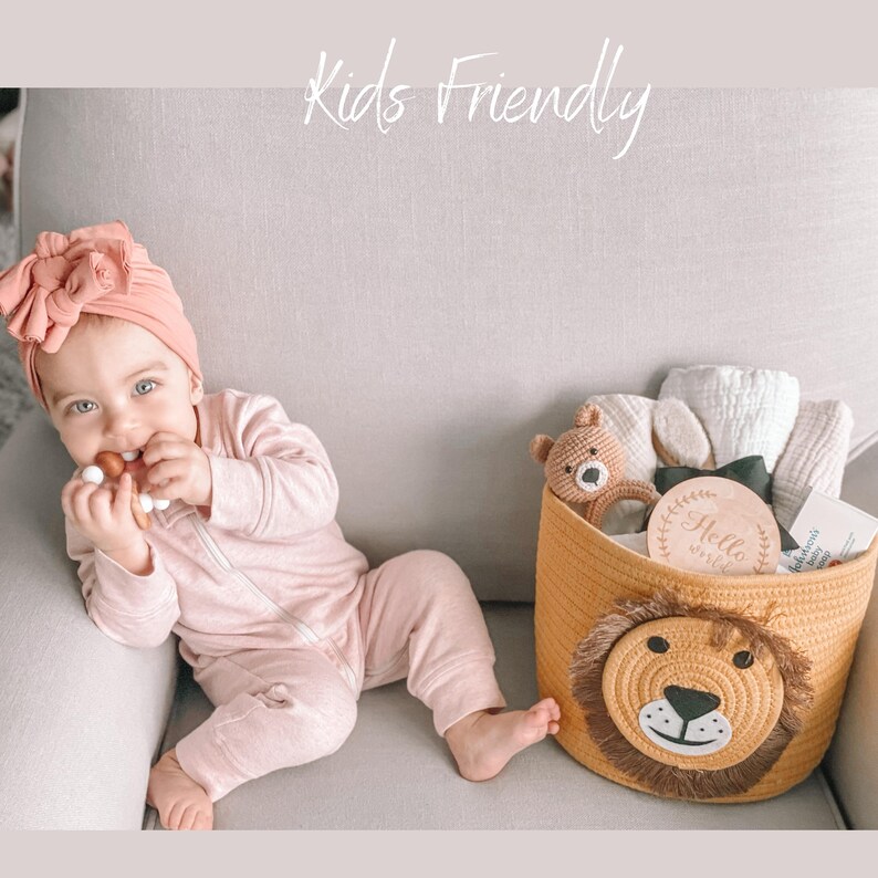 Lion Basket for Nursery Decor Blankets Baby Shower Special | Etsy