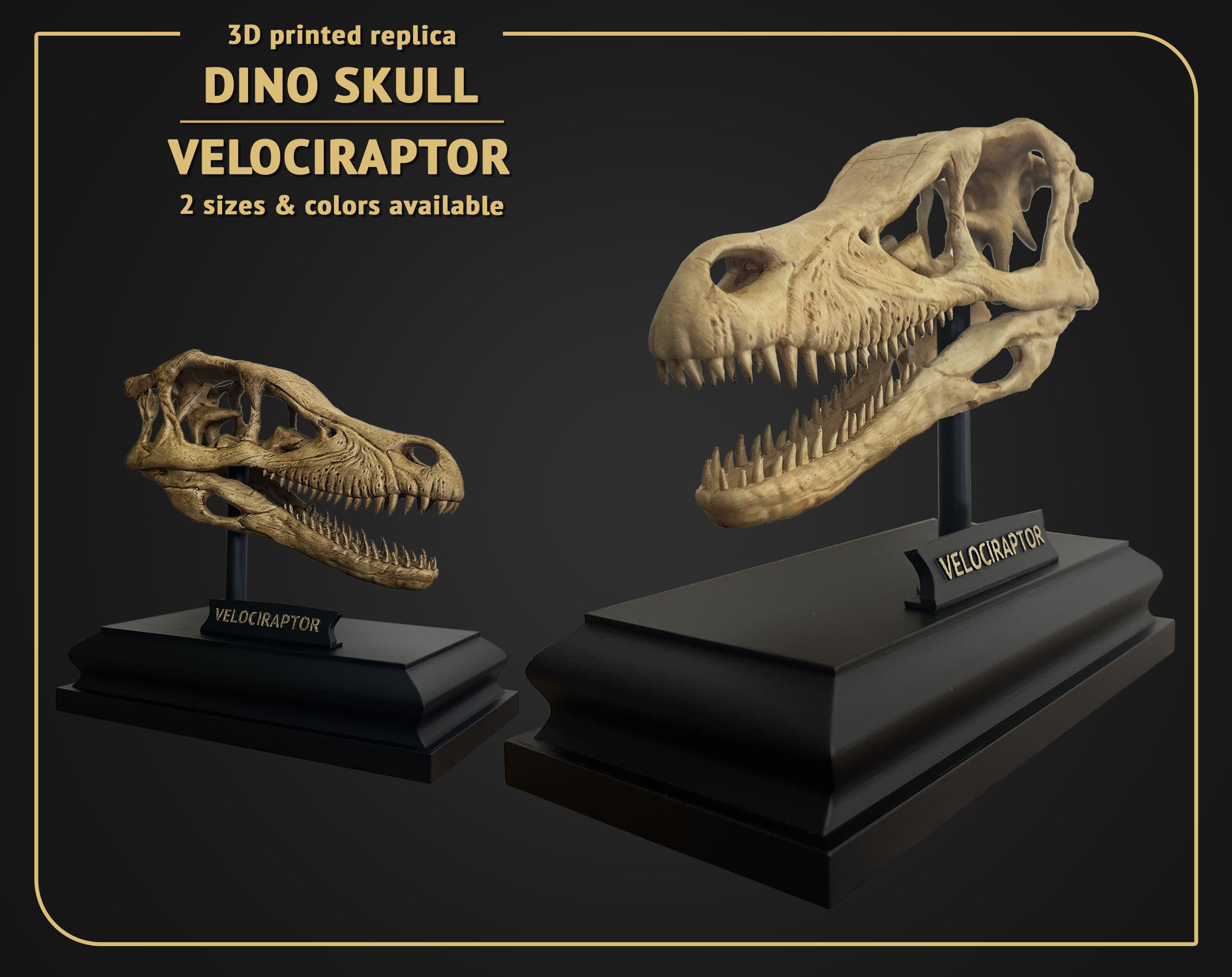 3d Velociraptor Skull