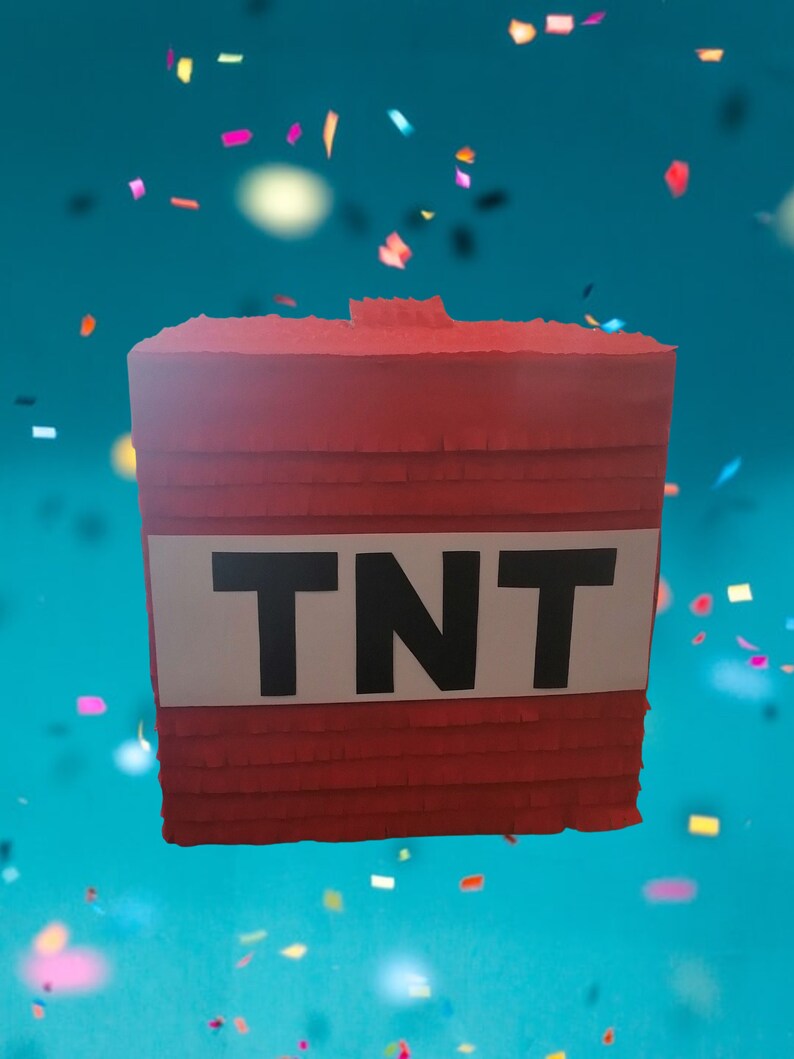 TNT Pinata, Custom Pinata for Thematic Party, Birthday Party Supplies ...
