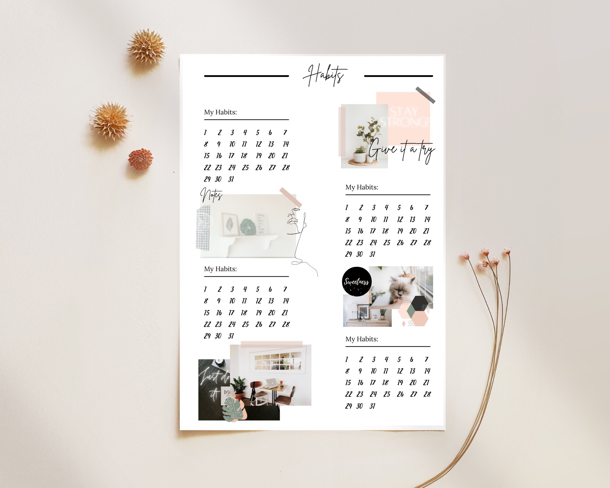 Aesthetic Habit Tracker: Scrapbook Version - Etsy