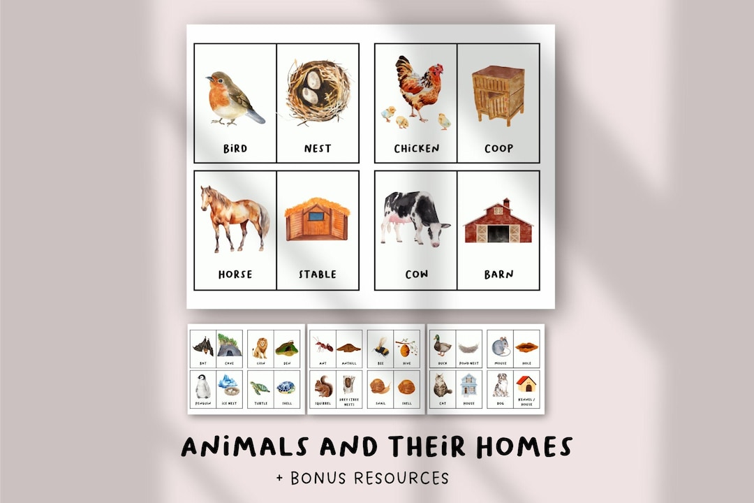 Animals and Their Homes Matching Cards – Preschool Printable Learning ...