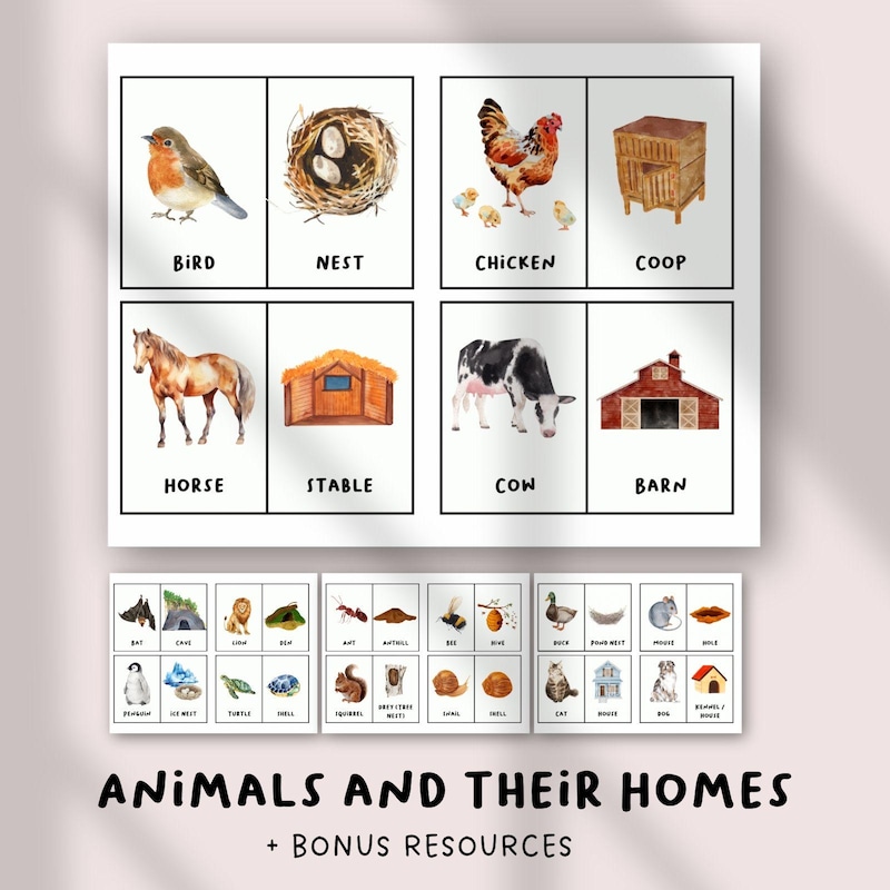 Habitat Animal Card Game - Etsy