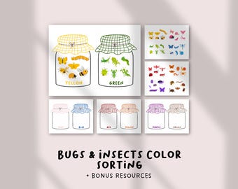 Preschool, Toddler, Color Recognition Activity, Bugs, Sorting ...