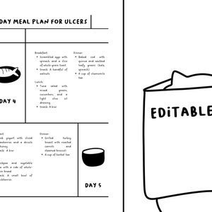 PDF | 7-day Meal Plan for Ulcers | Editable Template! - Etsy