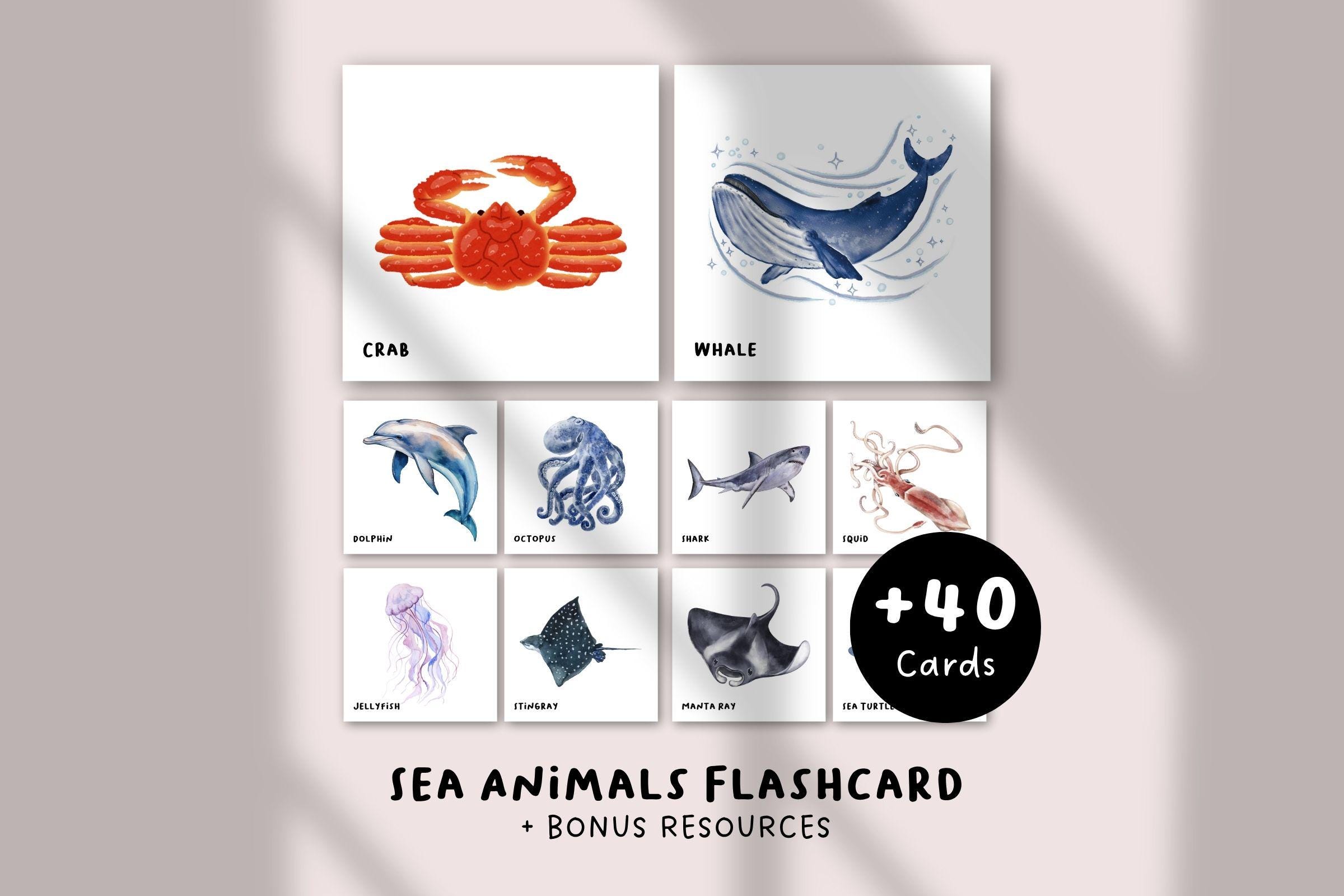 Ocean Animal Flashcards Printable | Sea Creatures Learning Cards for ...