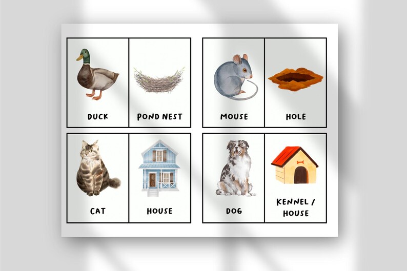 Animals and Their Homes Matching Cards – Preschool Printable Learning ...