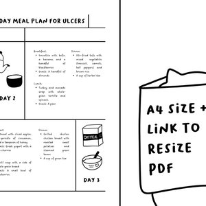 PDF | 7-day Meal Plan for Ulcers | Editable Template! - Etsy
