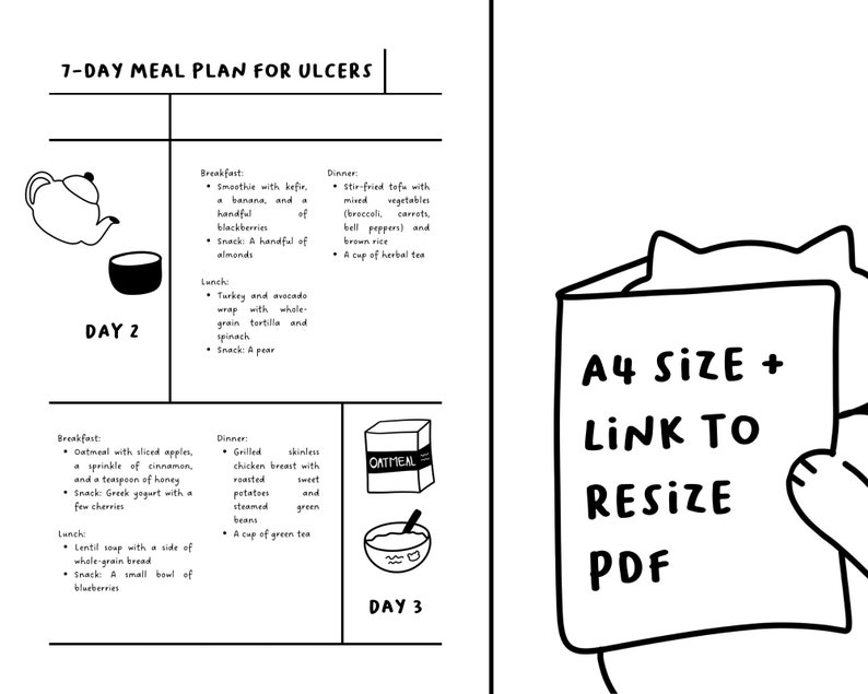 PDF | 7-day Meal Plan for Ulcers | Editable Template! - Etsy