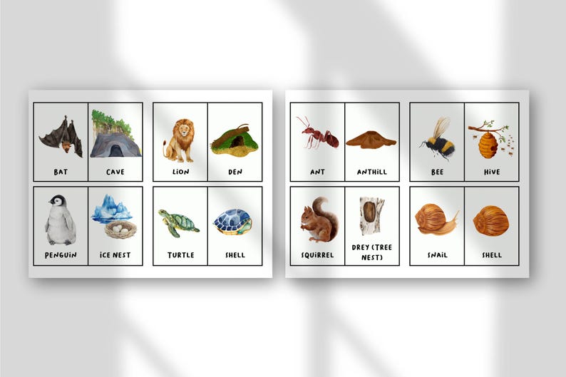 Animals and Their Homes Matching Cards – Preschool Printable Learning ...