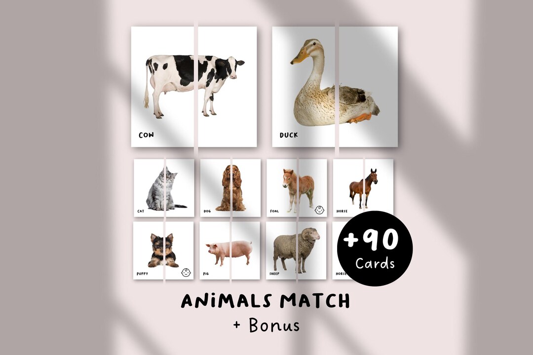 Animal Symmetry Matching Game, educational Activity for Kids ...