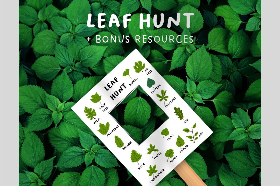 Printable Leaf Hunt for Kids | Nature Scavenger Hunt | Preschool Leaf ...