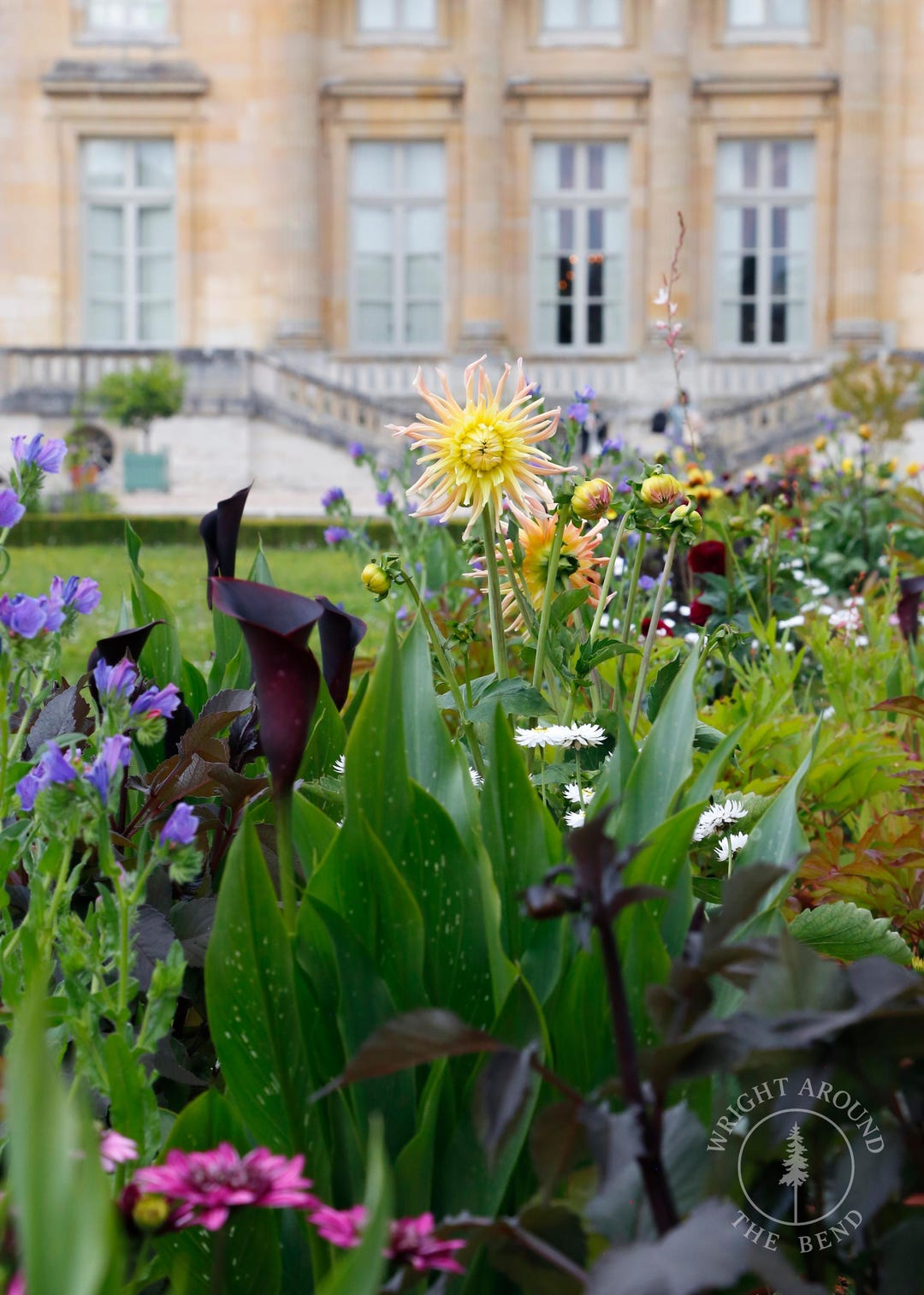 Versailles Flowers - French Garden Wall Art - Palace of Versailles ...