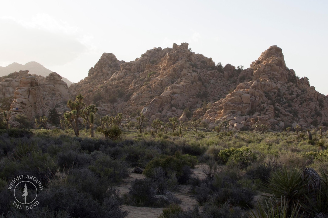 Joshua Tree Wall Art - Hidden Valley Sunset Art Print - Desert Golden ...