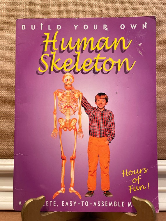 Build Your Own Human Skeleton - Etsy