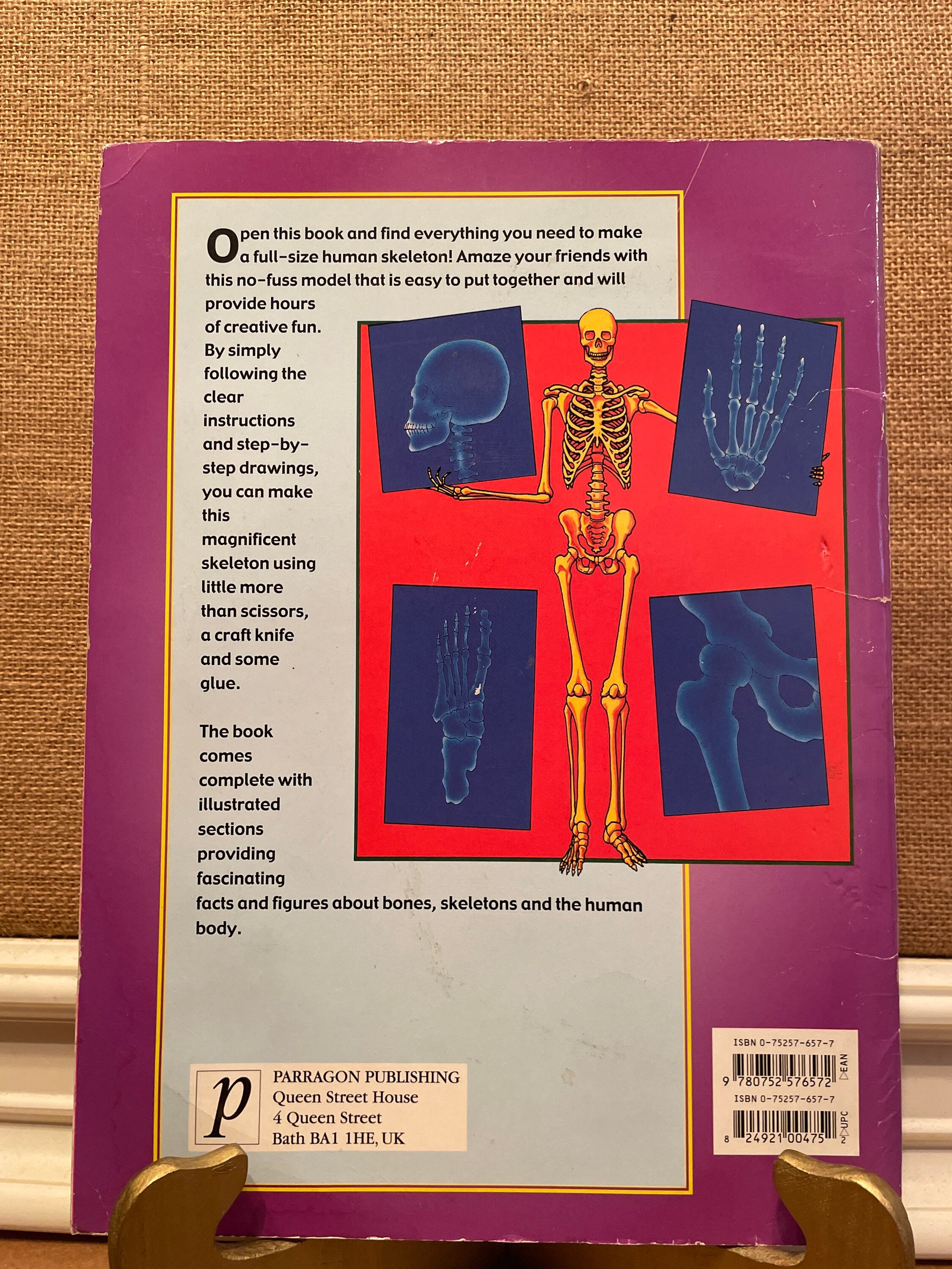 Build Your Own Human Skeleton - Etsy