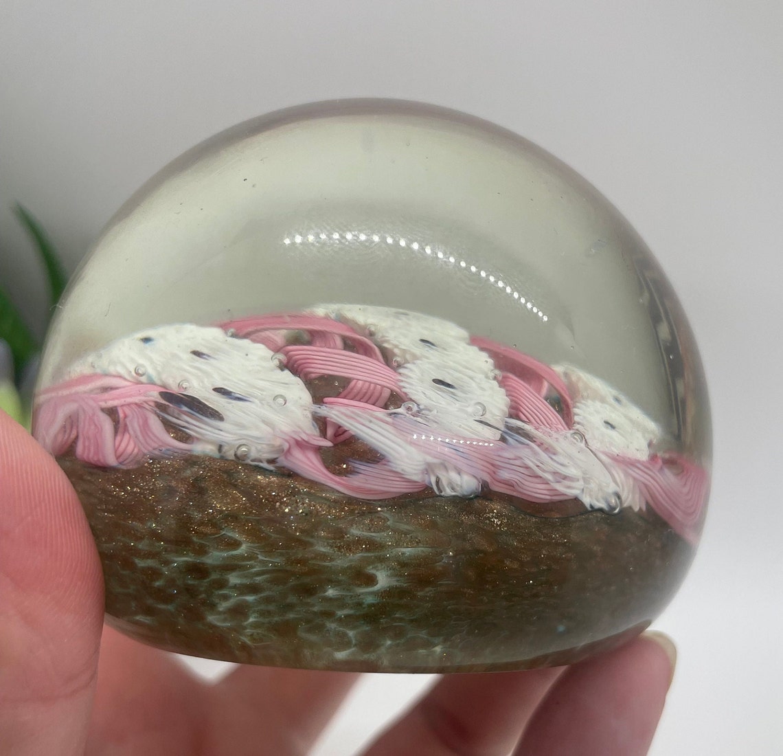 Murano Pink and White Latticino and Millefiori Paperweight - Etsy