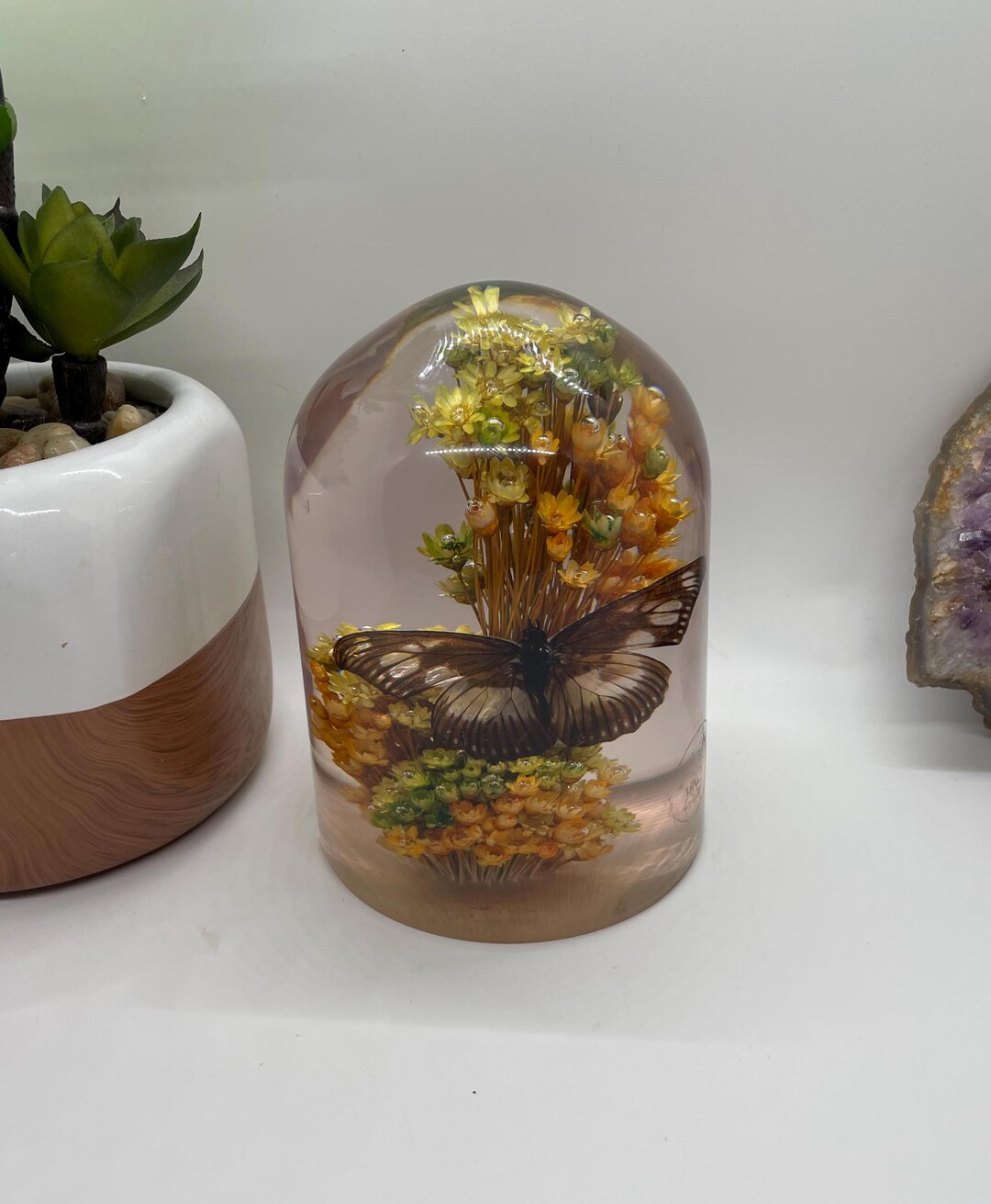 Large Vintage Butterfly and Flowers Encased Lucite Paperweight - Etsy