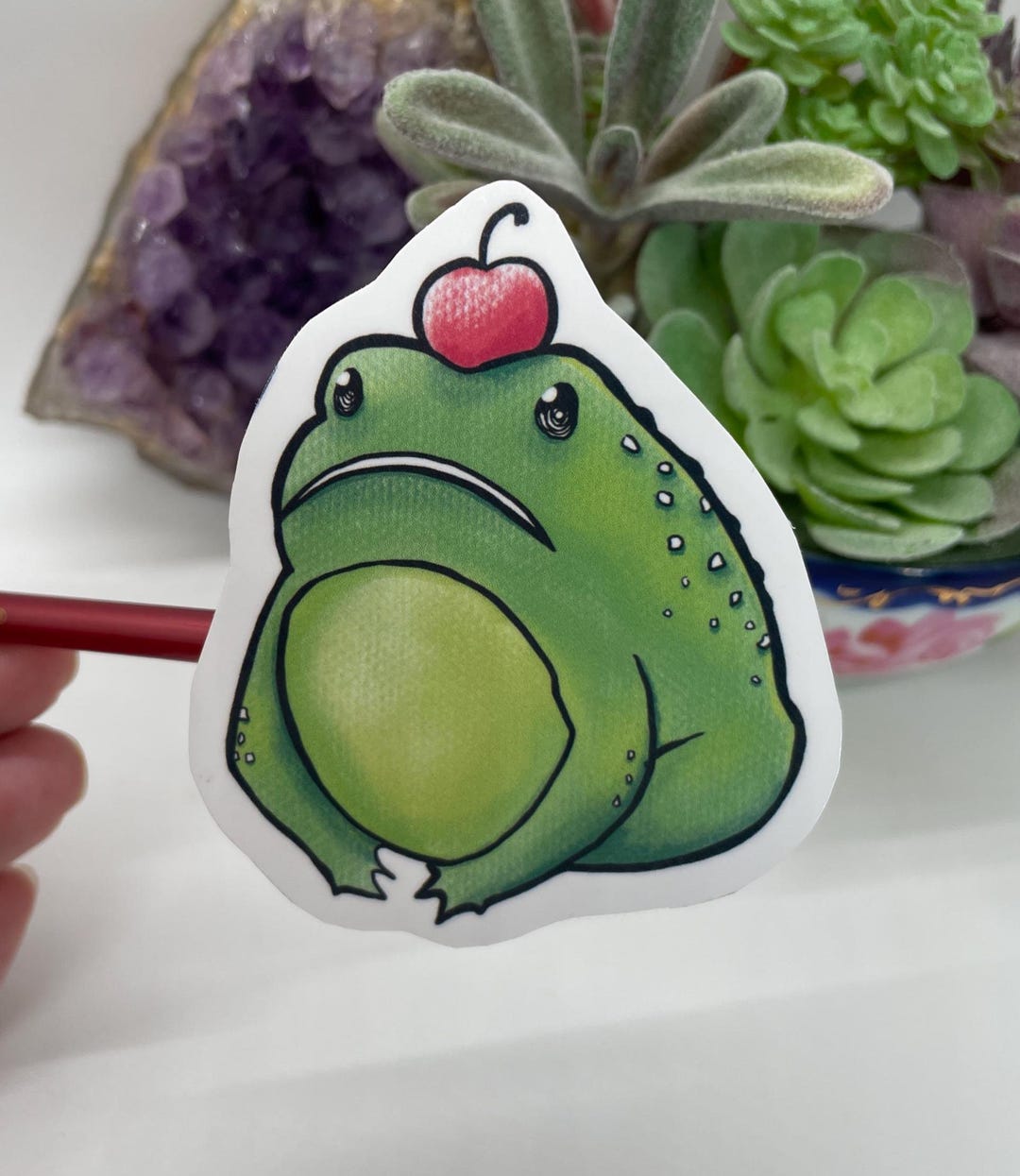 Worried Frogs and Snails Sticker Pack -10pc - Etsy